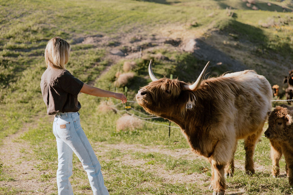 Contact – Golden Hour Farm