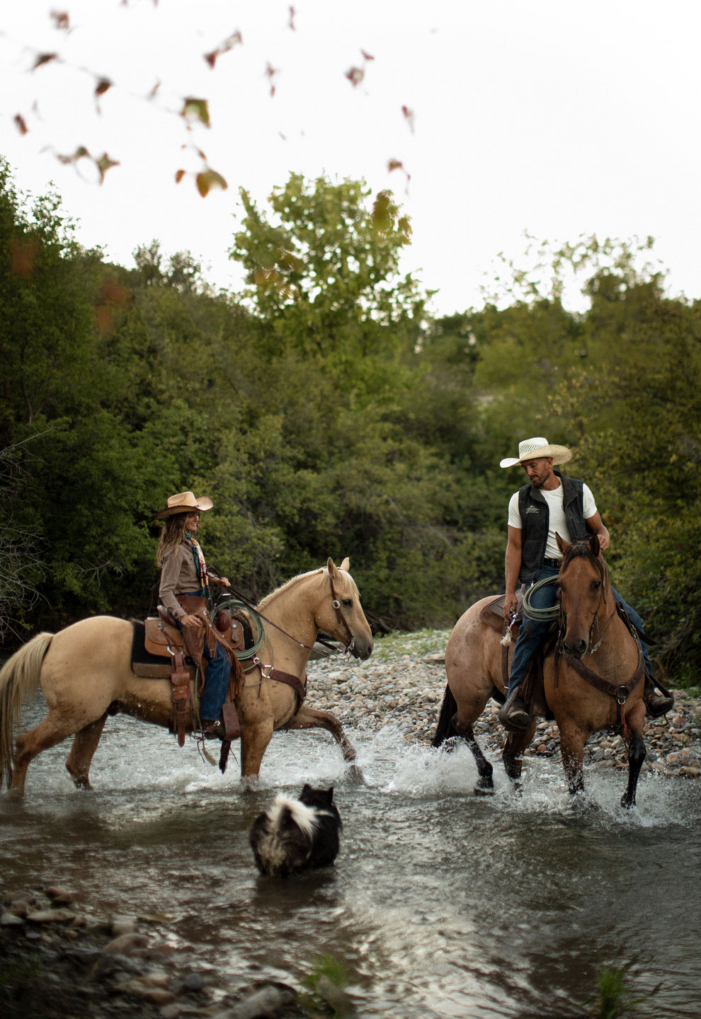 A Cowboy Experience – Golden Hour Farm